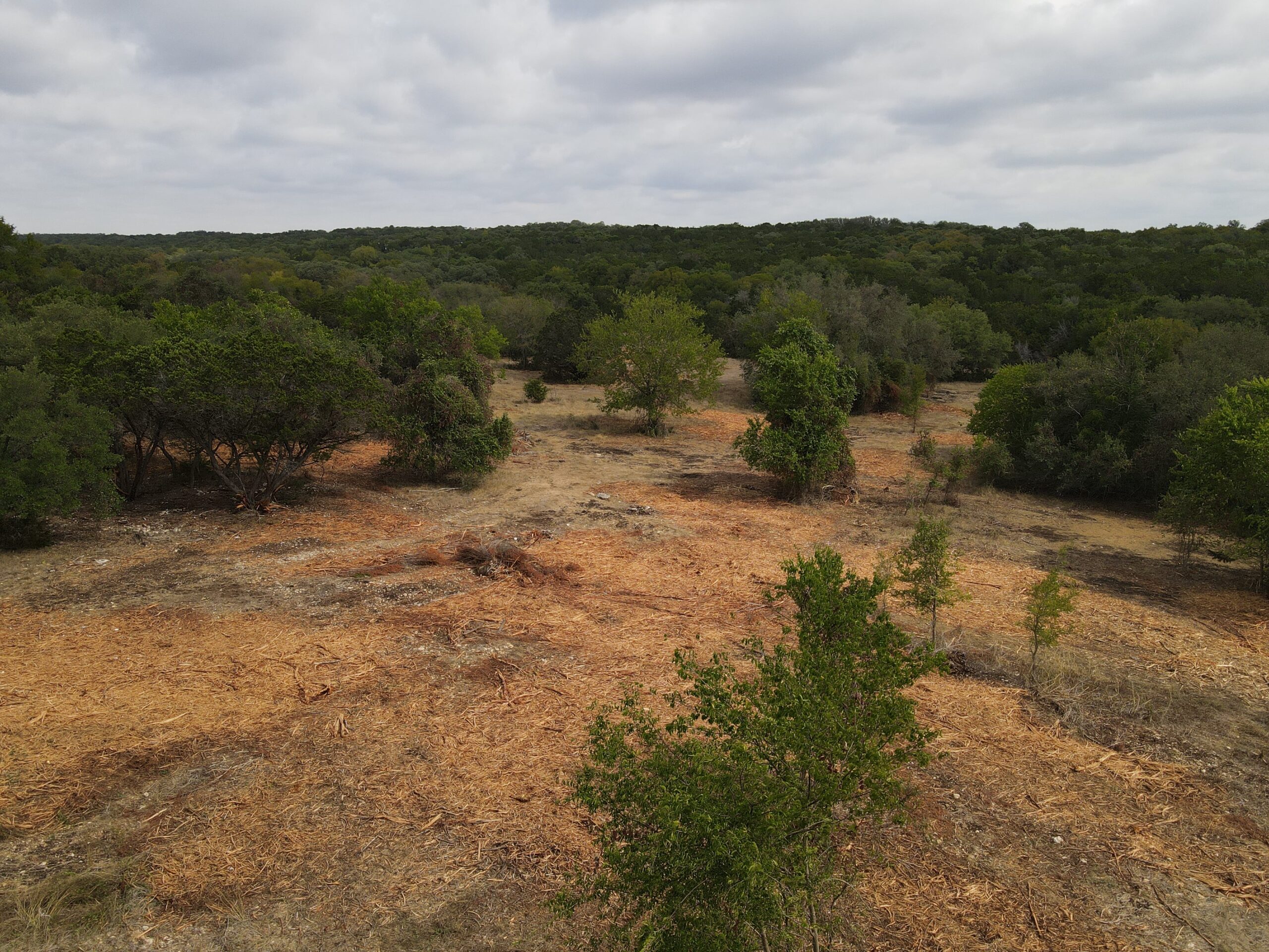 Deleon new Listing | Beem Team Texas Real Estate