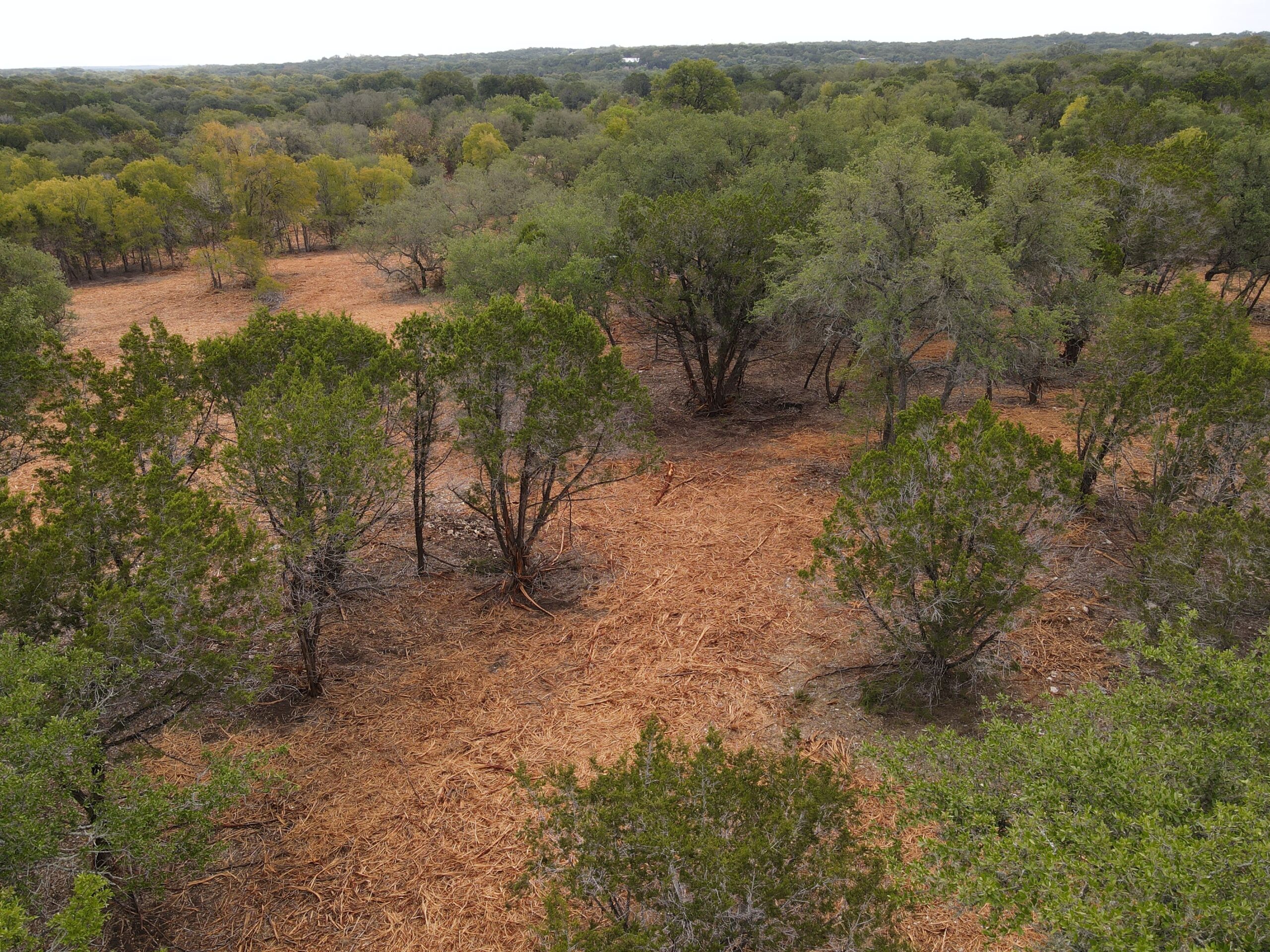 Deleon new Listing | Beem Team Texas Real Estate